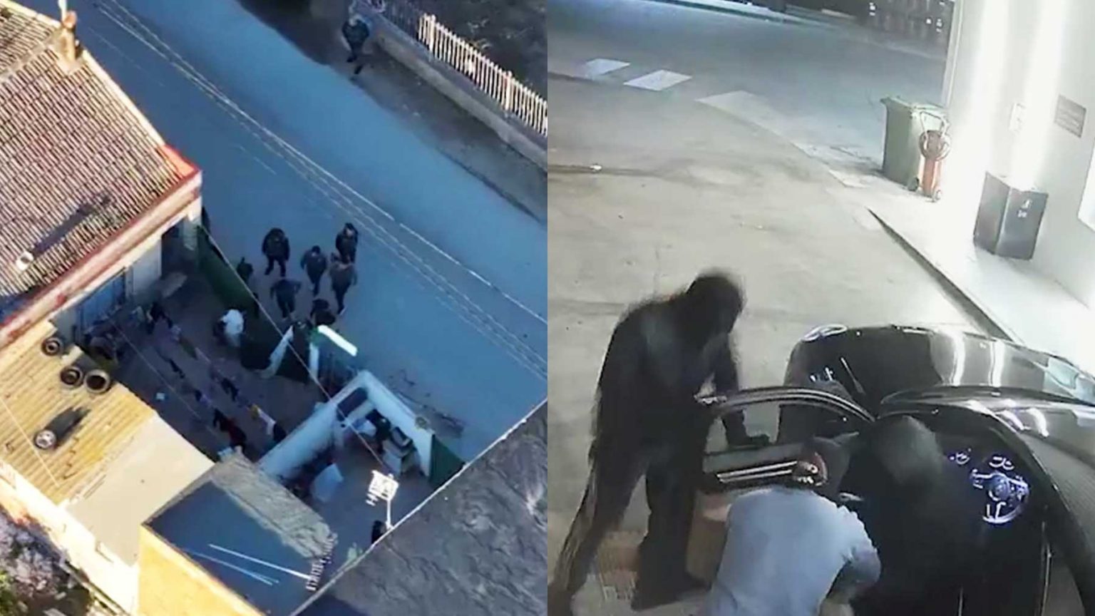 Desmantelan la banda de magrebíes que ha robado en más de 100 ...