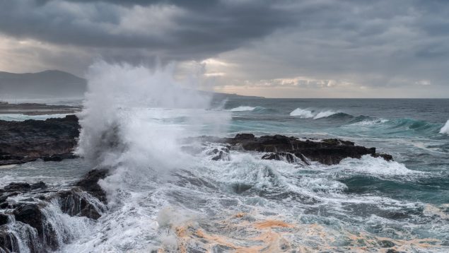 Canarias será la primera Área Marina Protegida de Alta Mar de España