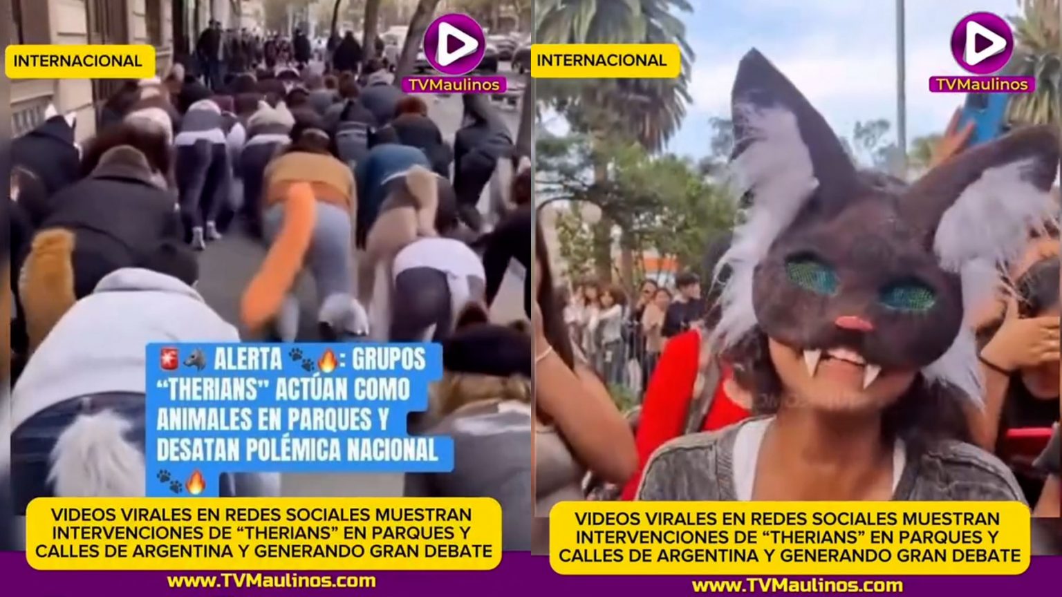 Andan como perros en las calles: así es la salud mental de los 'therians'