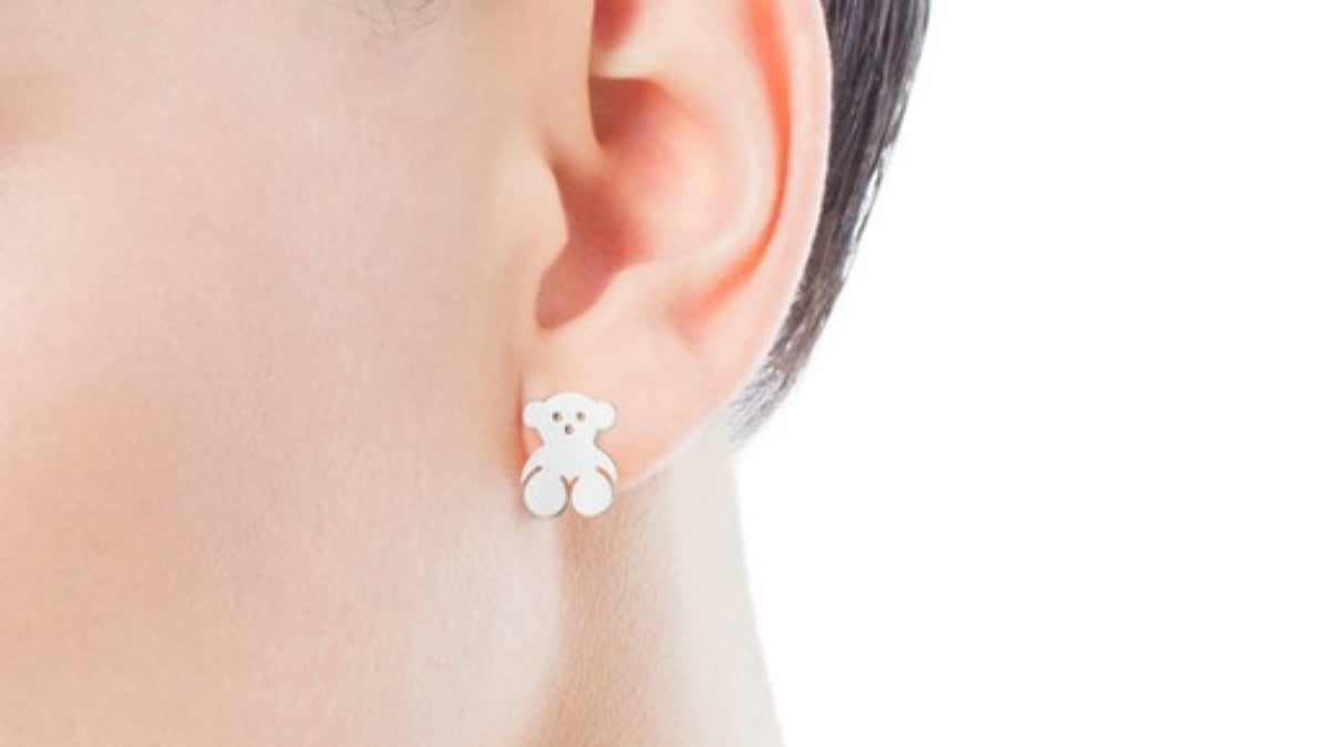 El Oso de Tous llega a la gran pantalla con su documental en el ...