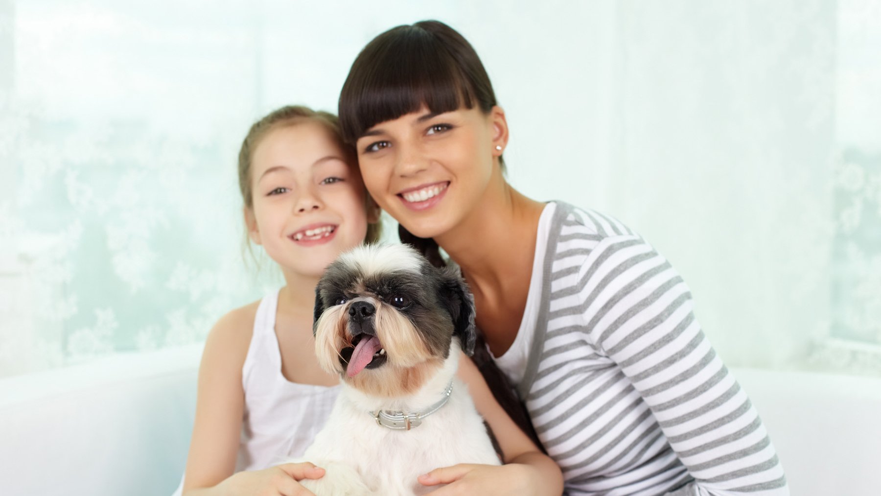 Cinco detalles con los que harás felices a tus mascotas