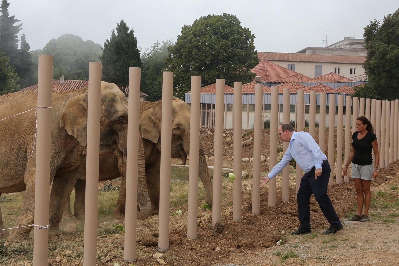 Todos los secretos de los refugios de la familia Grimaldi