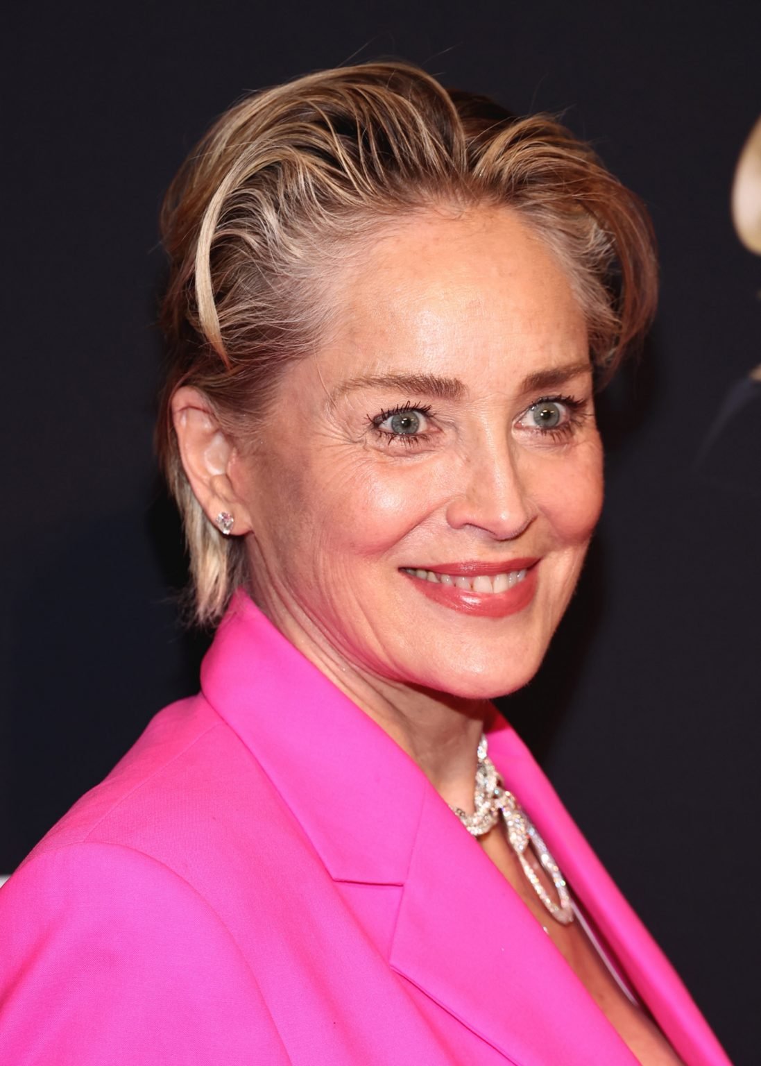 Sharon Stone: evolución 'beauty' y un amor odio a la cirugía