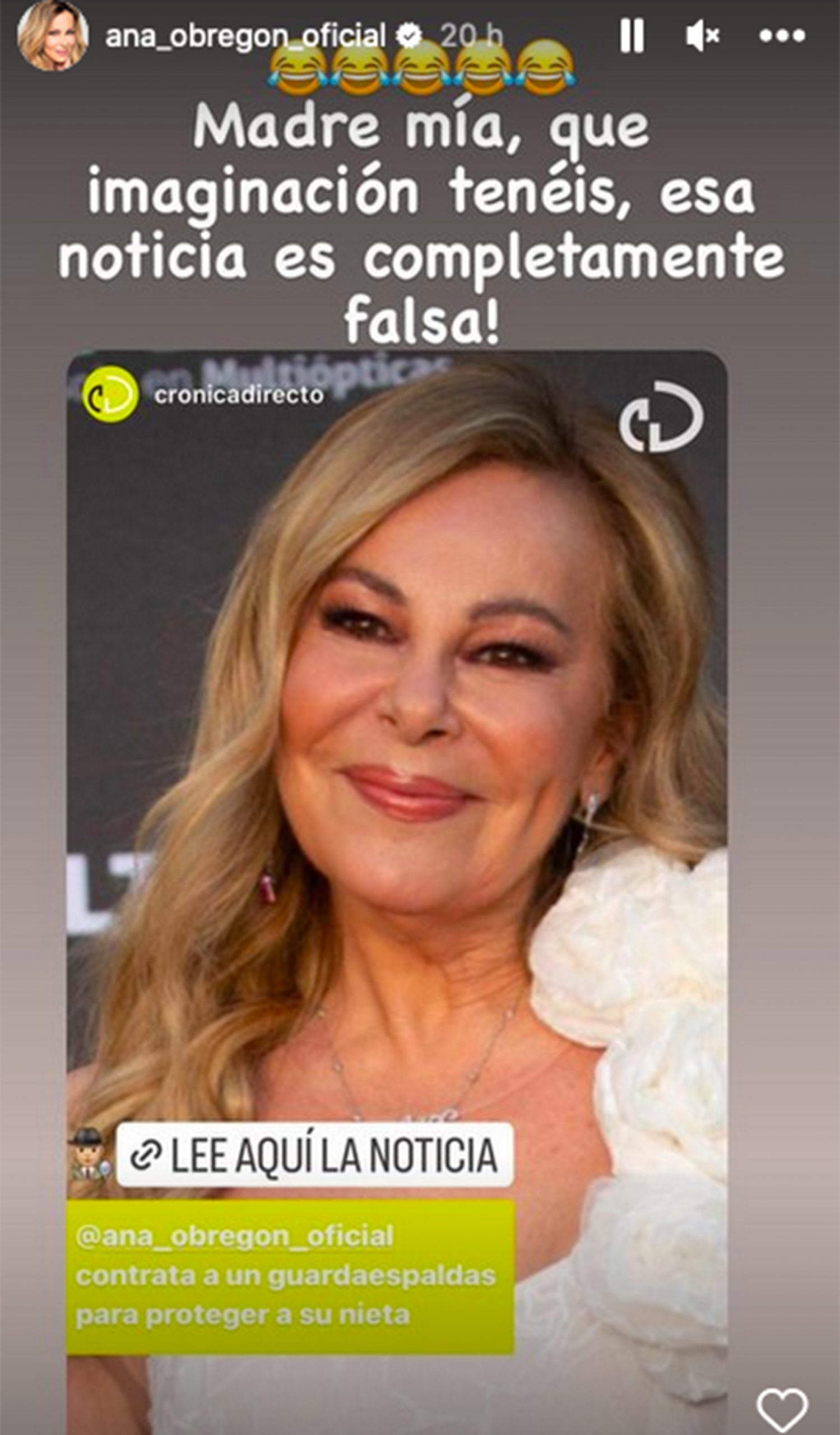 Ana Obregón rompe su silencio tras la supuesta contratación seguridad