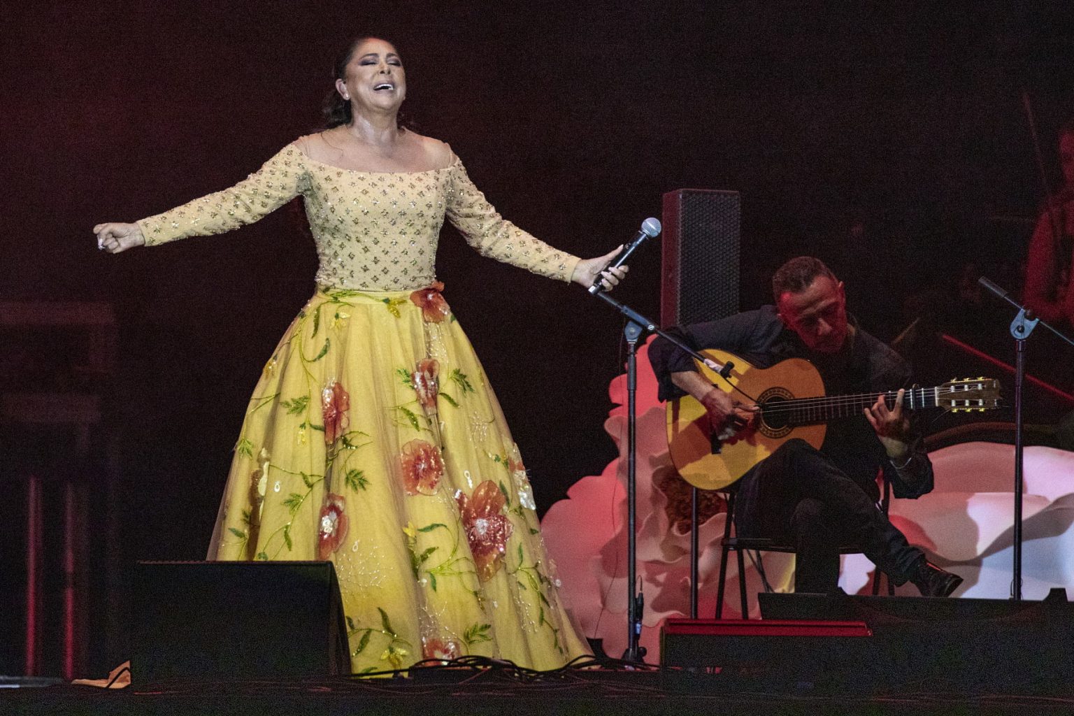 La gira de Isabel Pantoja corre peligro por sus problemas económicos ...