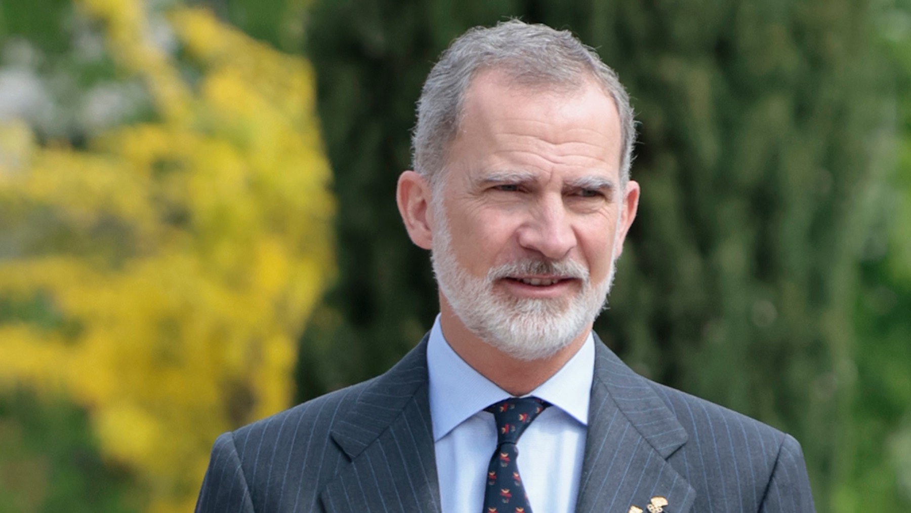 La faceta más desconocida del Rey Felipe según el rey del reggaeton ...