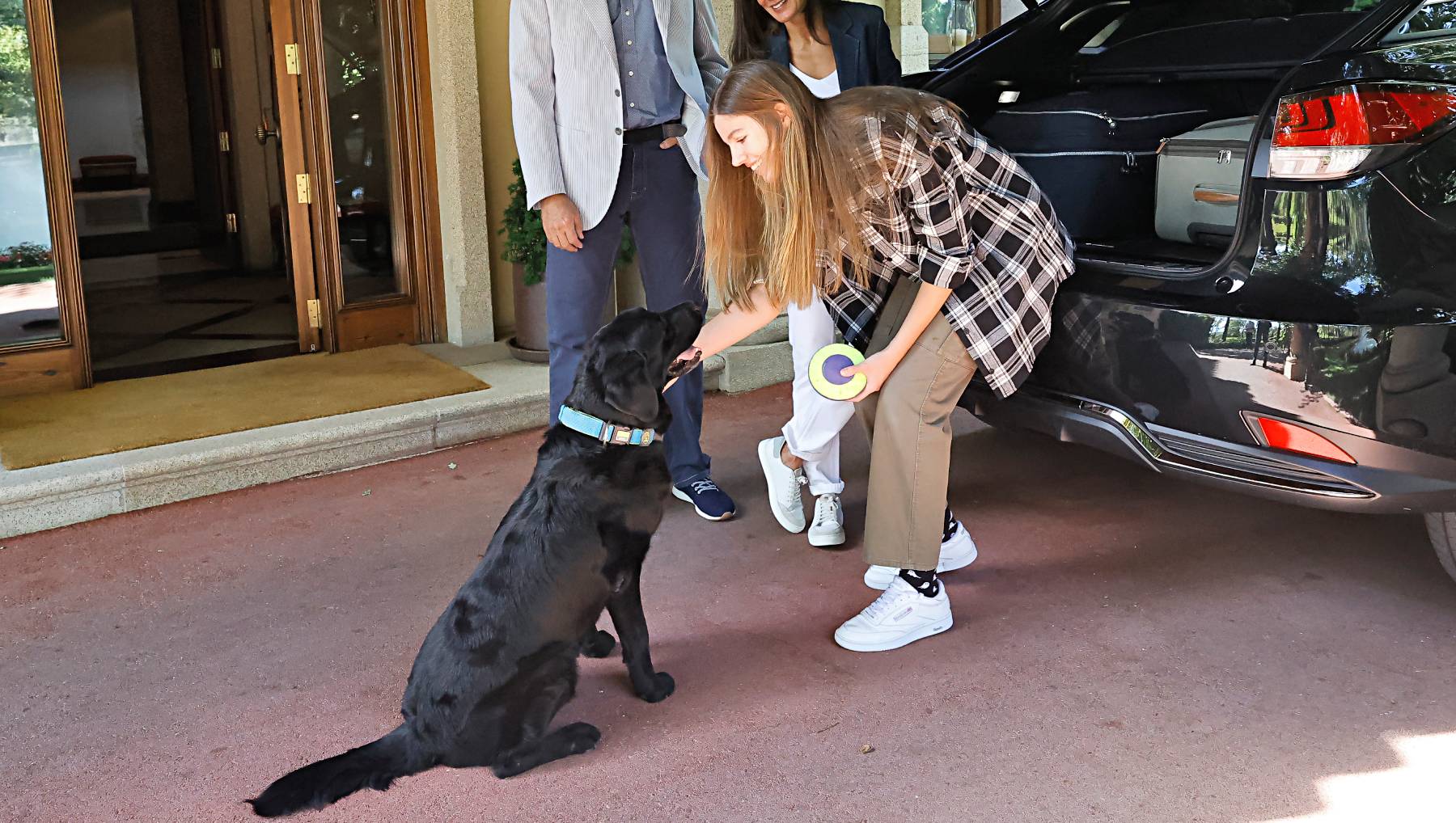 La estricta norma que siguen Jan y Sara, los perros de la princesa ...