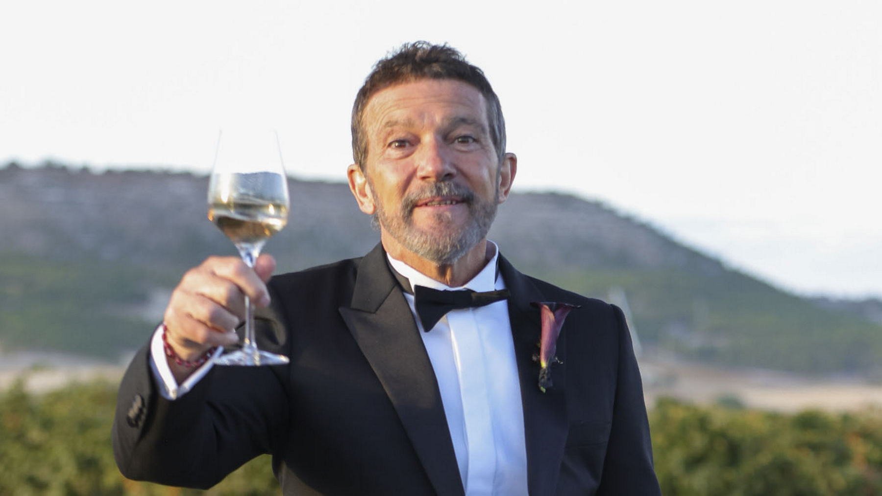 Sharon Stone reacciona a la boda de Stella del Carmen