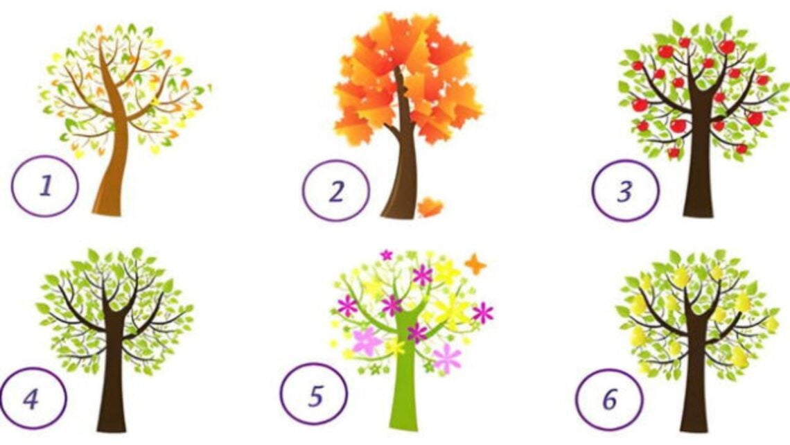 Psychological test: if you choose this tree, you are a more upright and ...