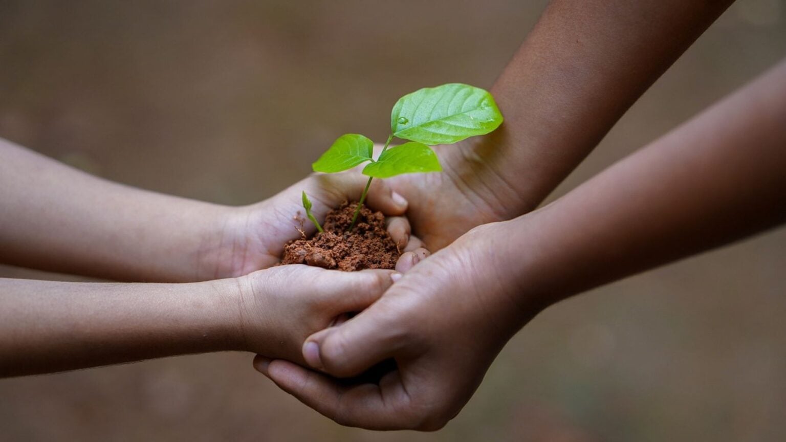 Scientific studies show that acts of generosity and kindness reflect ...