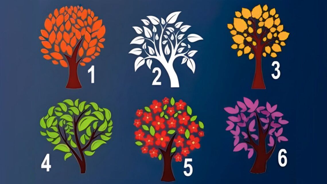 Personality test: Choose your favorite tree and discover in 30 seconds ...