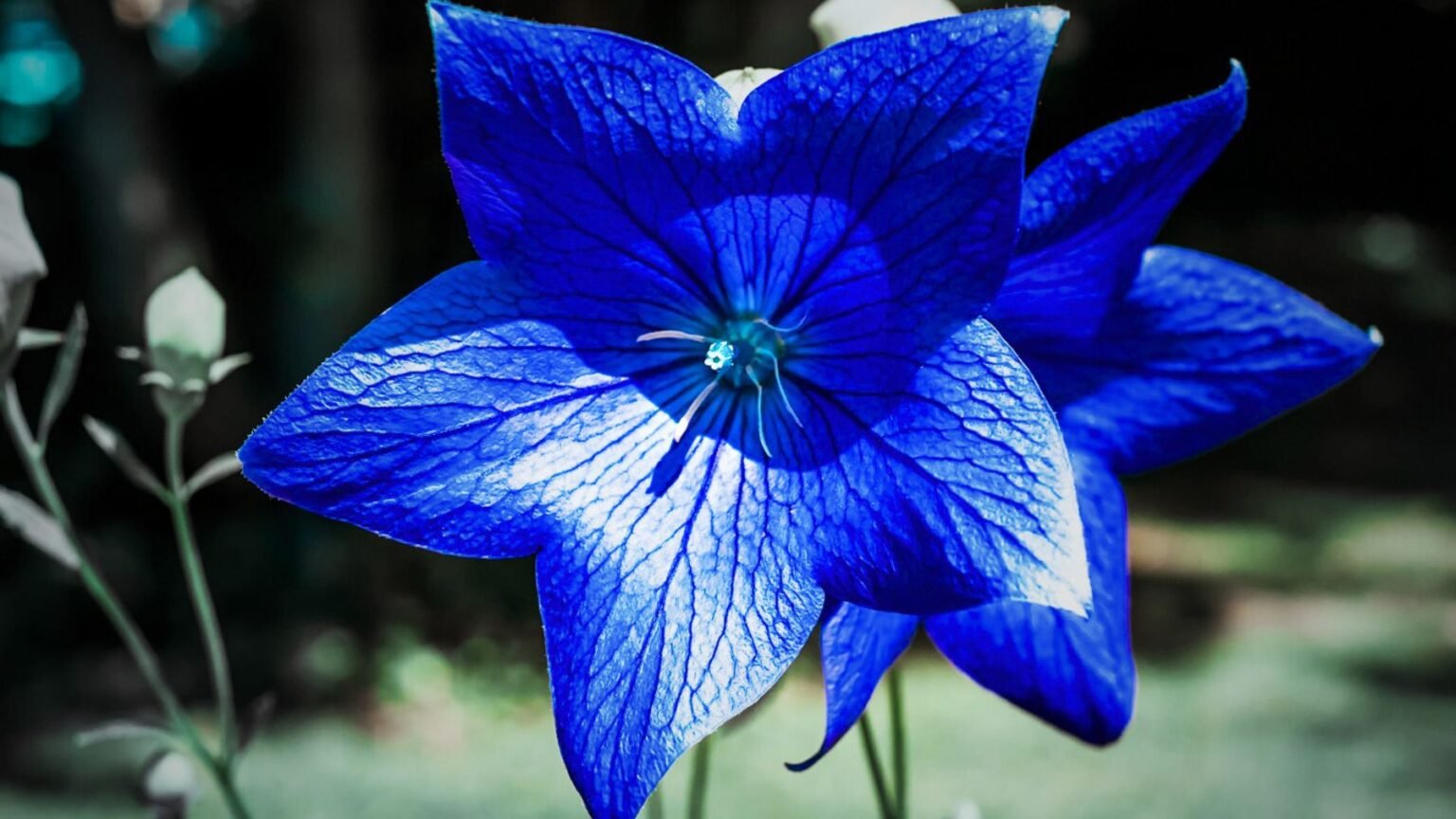 Color psychology: If your favorite color is blue, you might be more ...