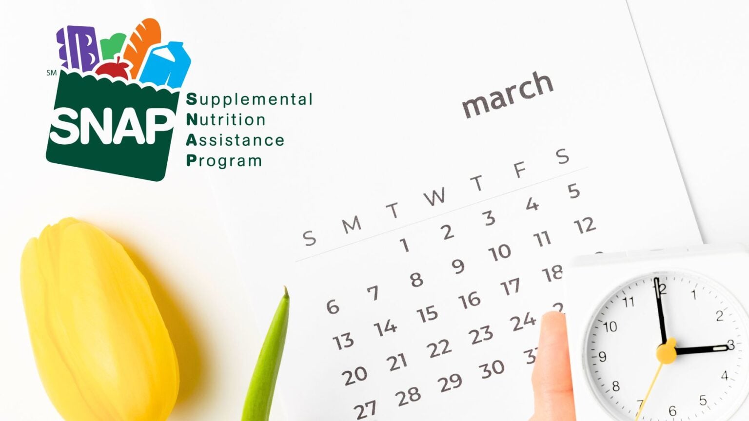 SNAP benefits in Florida and Texas: Here is the new payments calendar ...