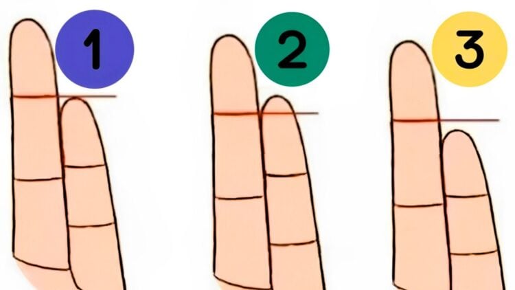 Personality test: If your pinky finger has this length, you are more ...