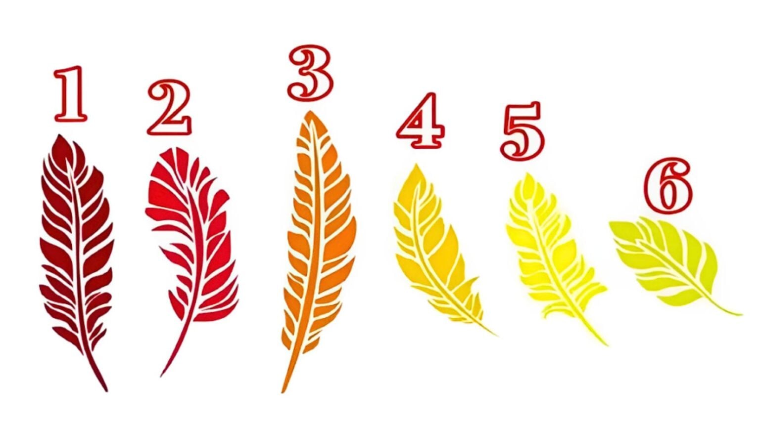 Personality test: Pick a feather and find out in 40 seconds what others ...