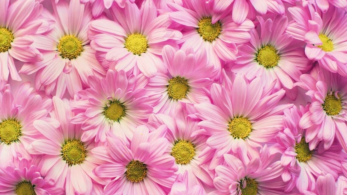 ¿Qué significa el color rosa, según la psicología? - Metabolic