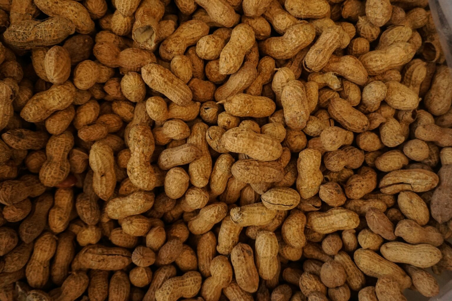 El fruto seco que tienes que comer para frenar el envejecimiento: tiene ... El fruto seco que tienes que comer para frenar el envejecimiento: tiene ...