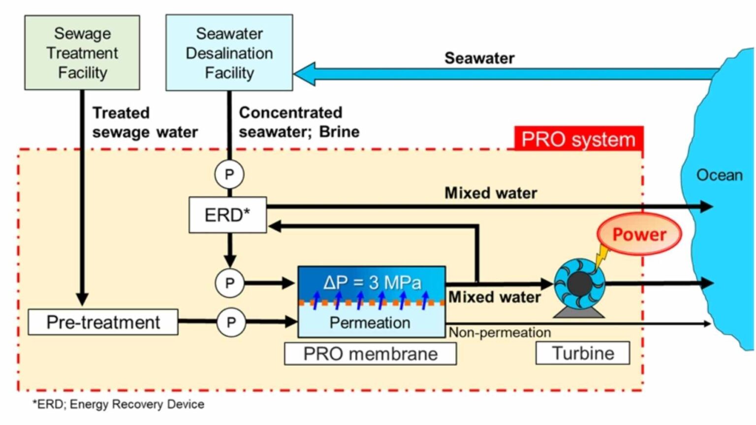 Japan opens a plant in Fukuoka and turns seawater into a new source of ...