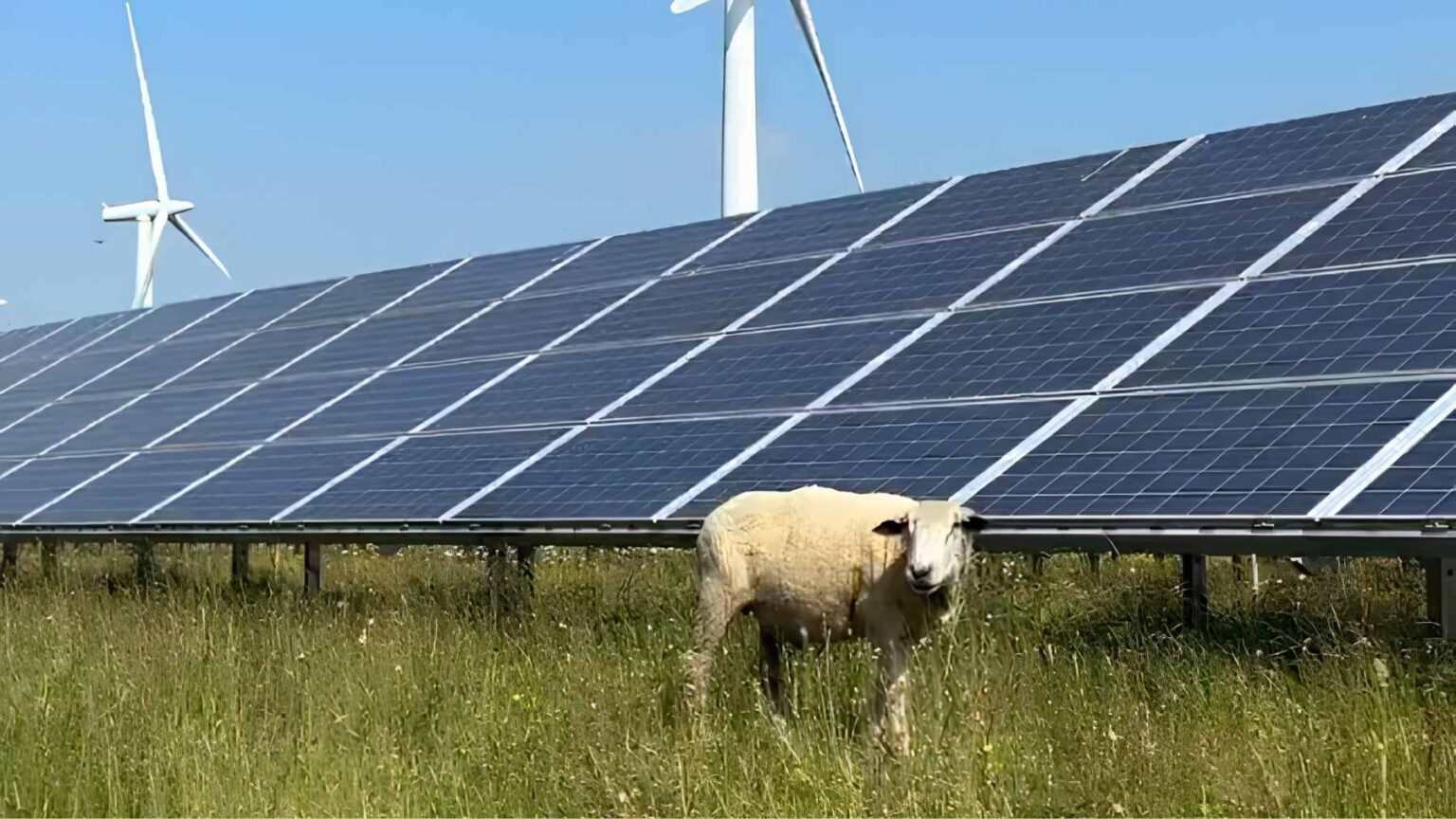 Solar power is getting a new physical test, and the land beneath the ...